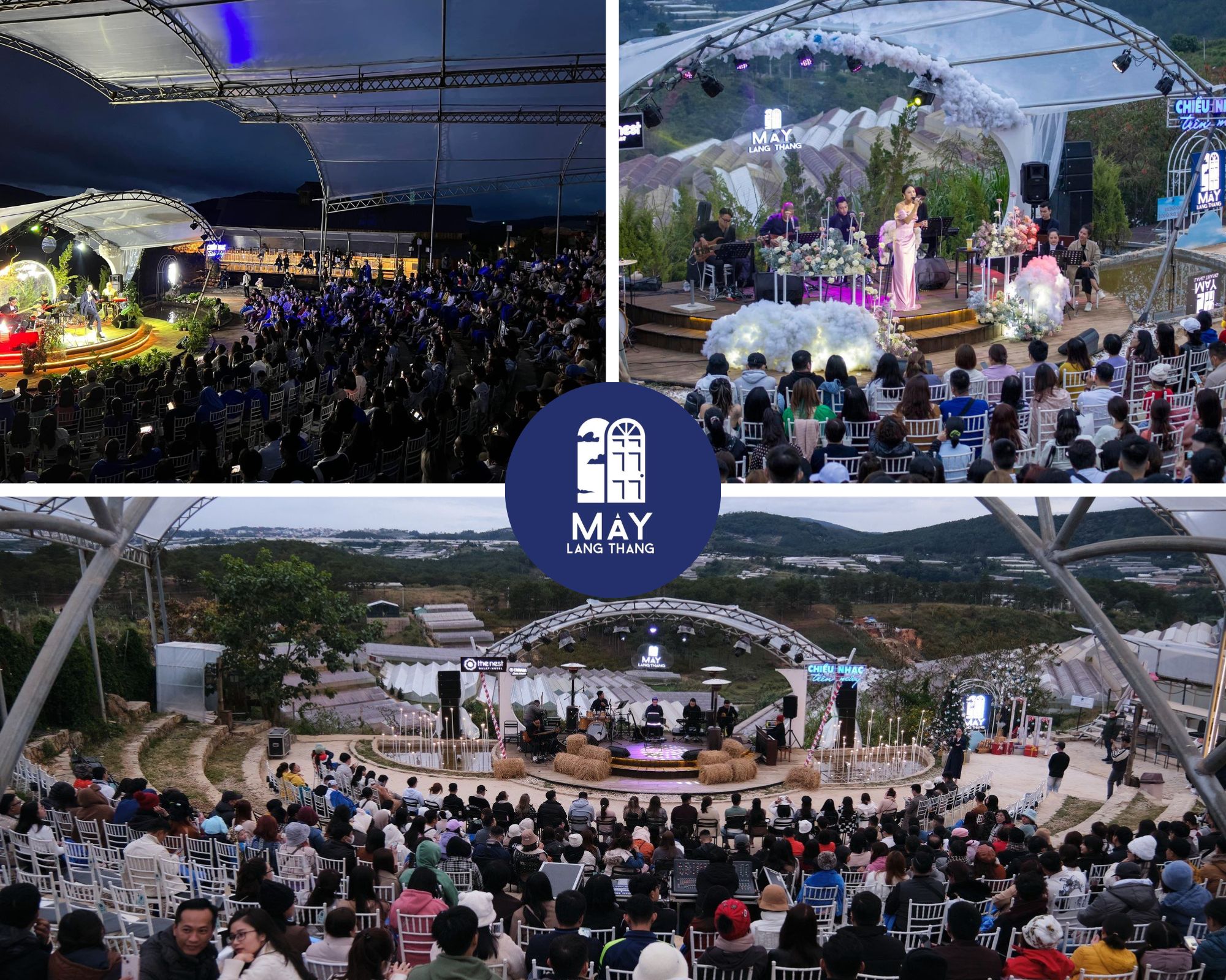 Tổng đài đặt vé liveshow